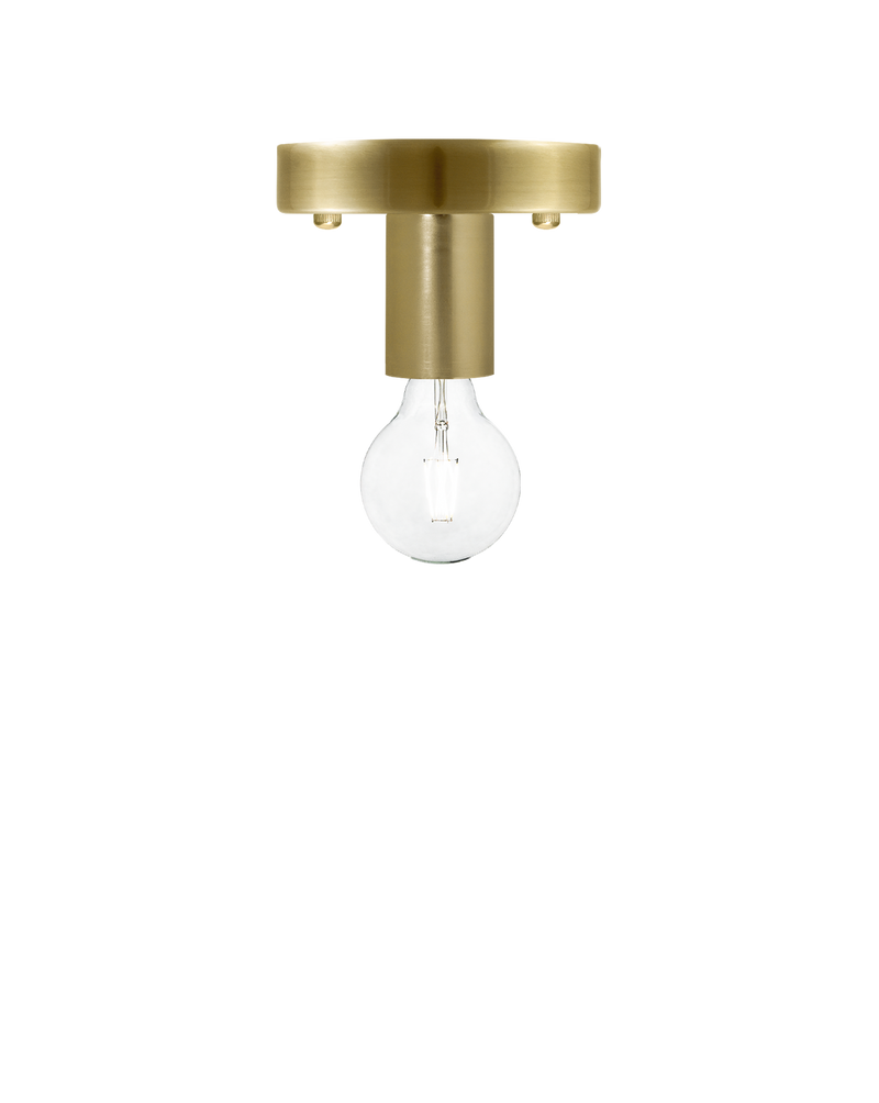 Flush Mount Light Socket Unitary Brand Antique Black Metal Cage Shade